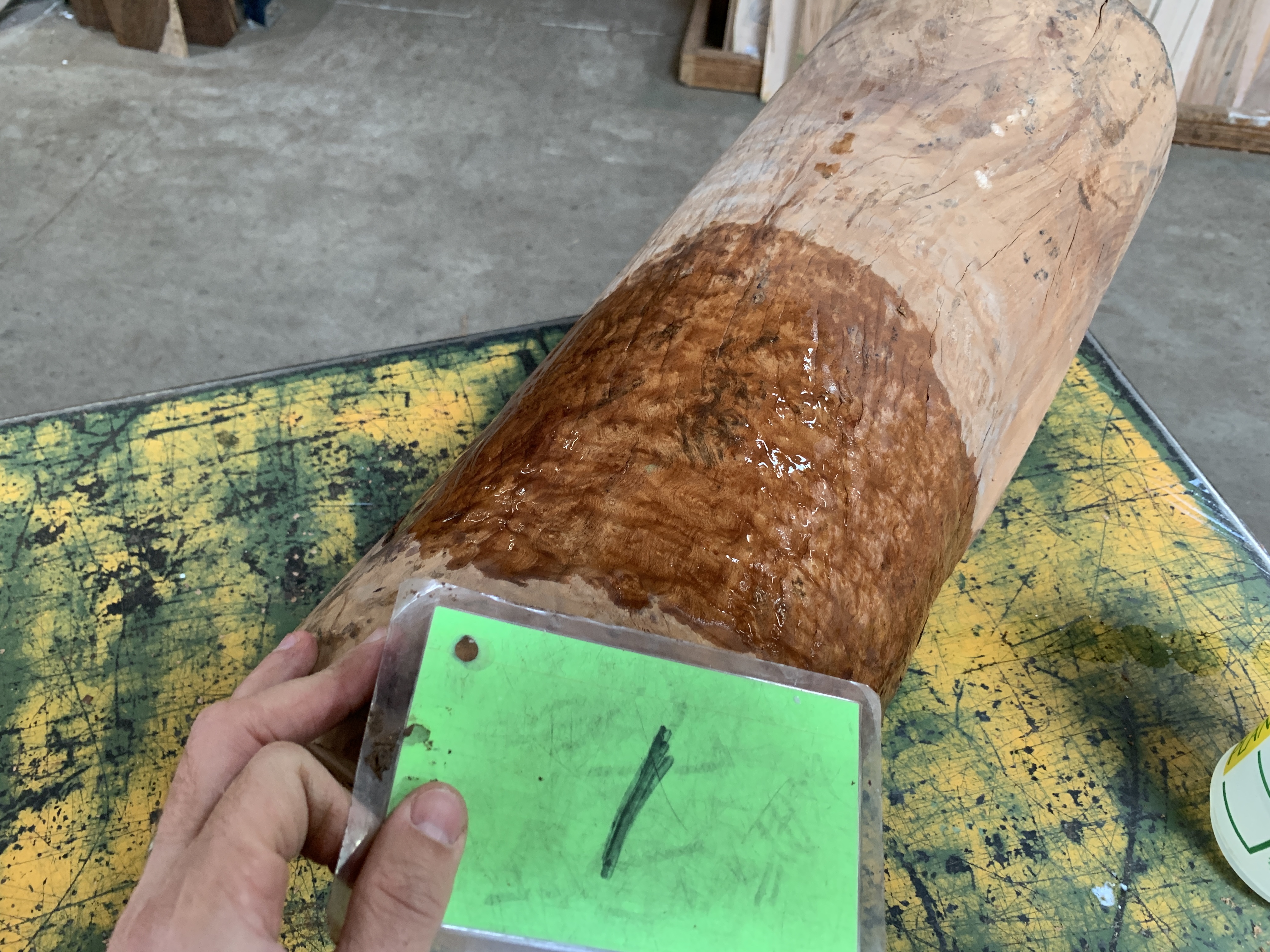 Pimento Burl Log #1 | Tropical Exotic Hardwoods