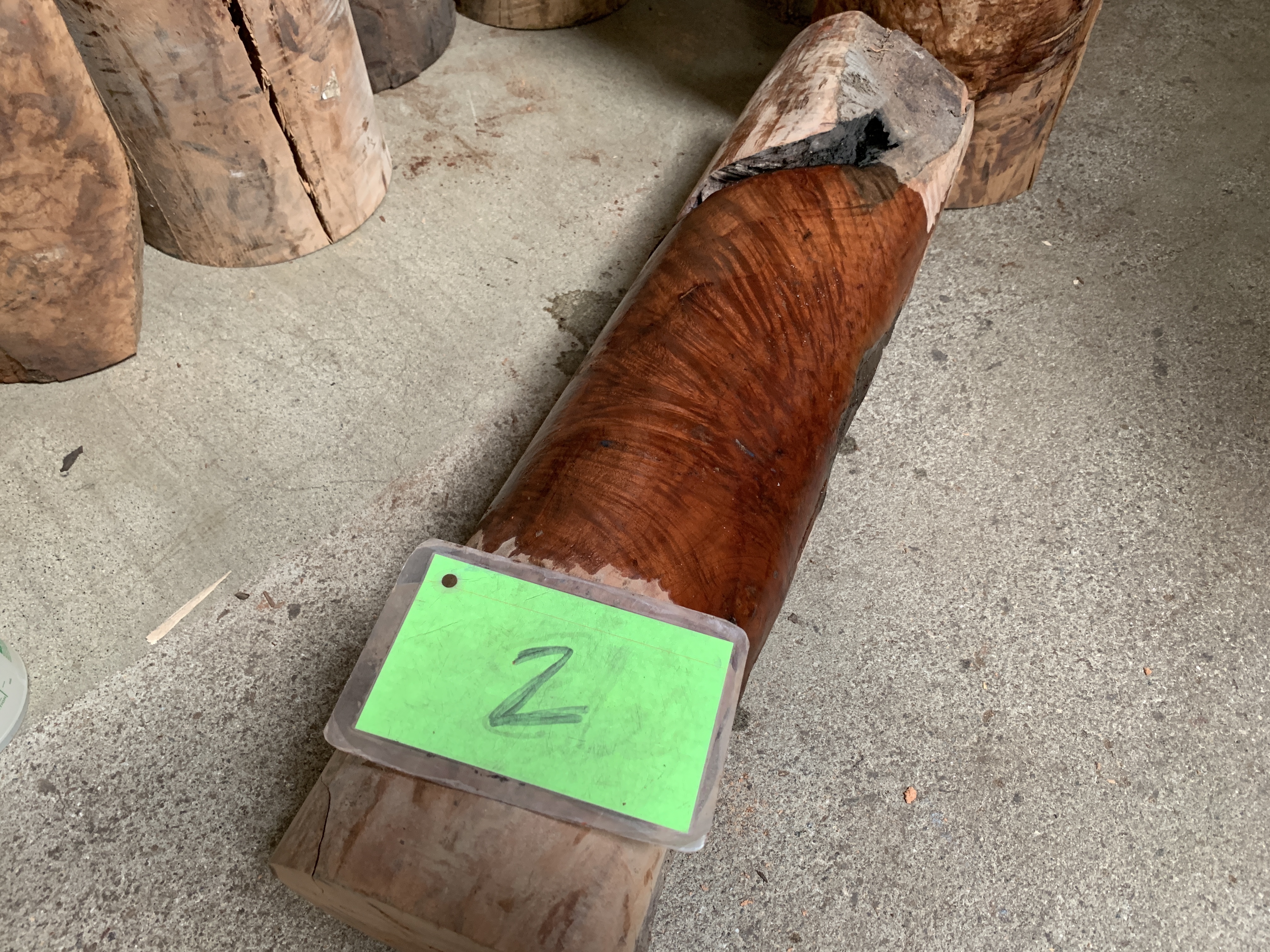 Pimento Burl Log #2 | Tropical Exotic Hardwoods