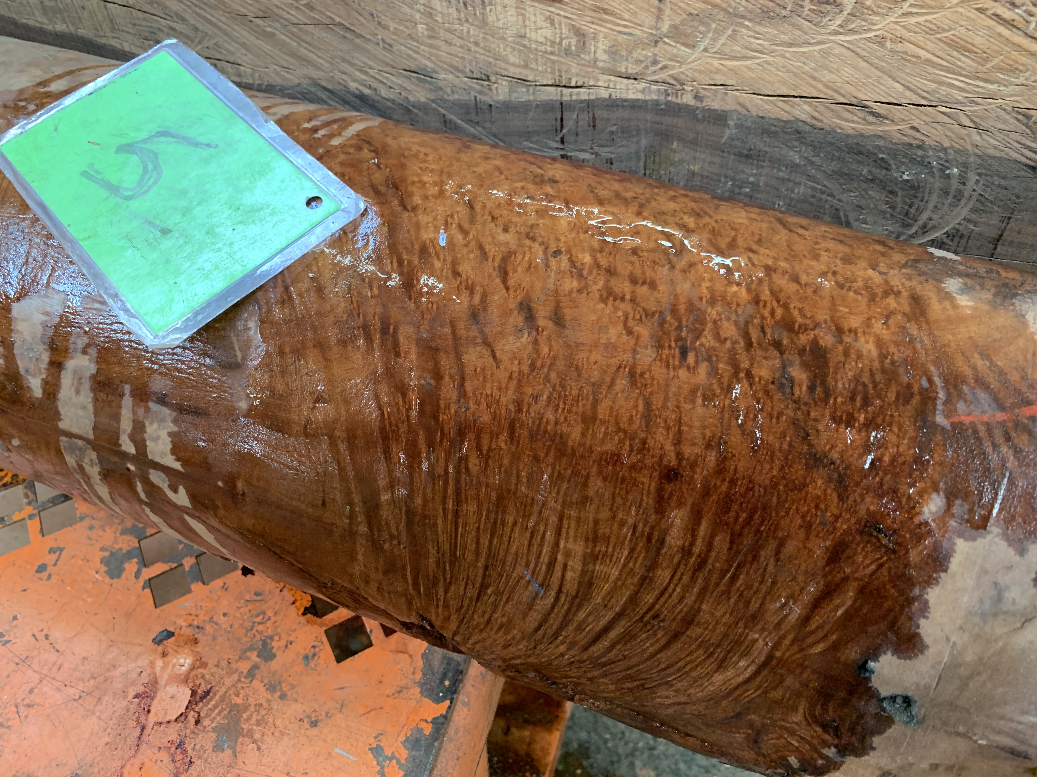 Pimento Burl Log #5 | Tropical Exotic Hardwoods