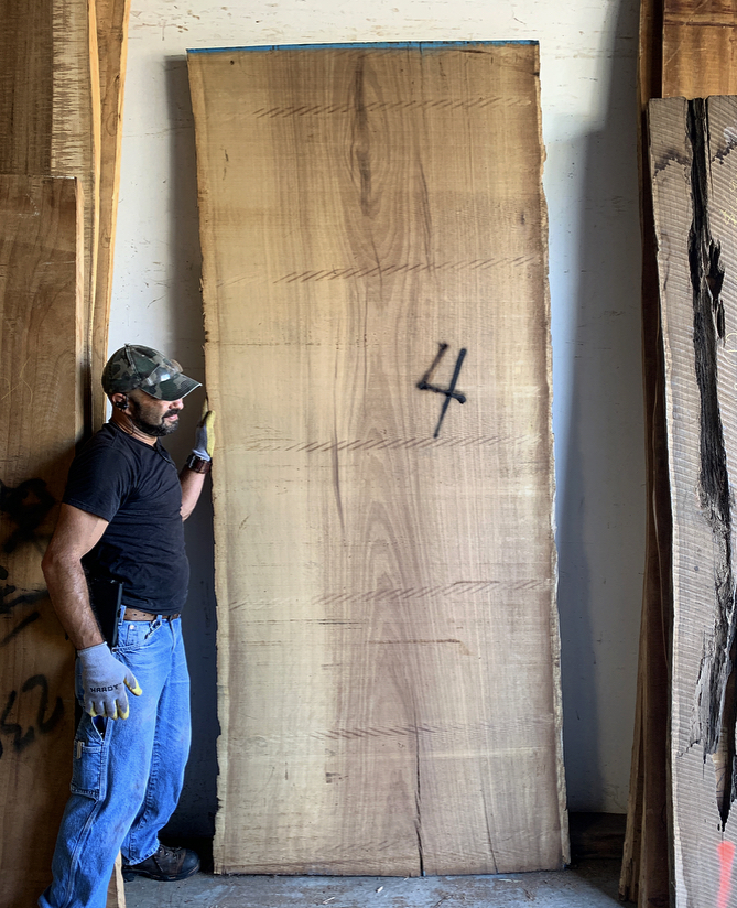 Iroko (African Teak) Slab #4 | Tropical Exotic Hardwoods