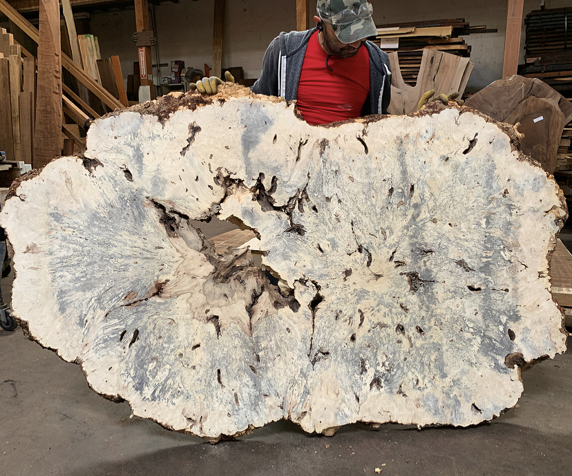 Buckeye Burl #476 | Tropical Exotic Hardwoods