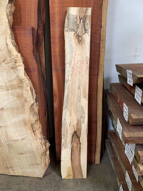 Spalted Mango Slab #13 One Live Edge | Tropical Exotic Hardwoods