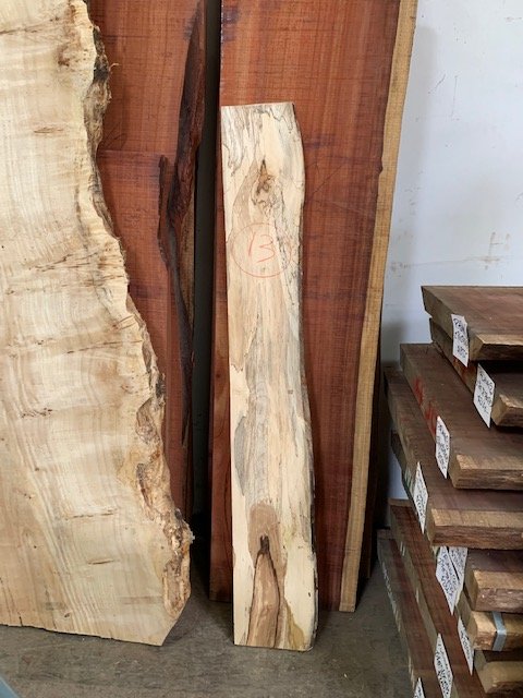 Spalted Mango Slab #13 One Live Edge | Tropical Exotic Hardwoods