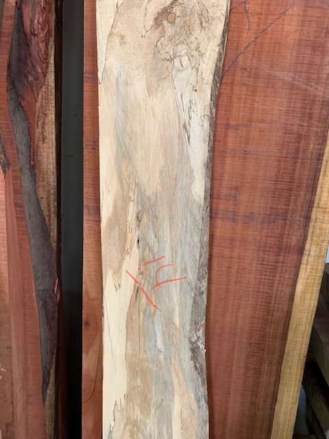 Spalted Mango Slab #14 One Live Edge | Tropical Exotic Hardwoods