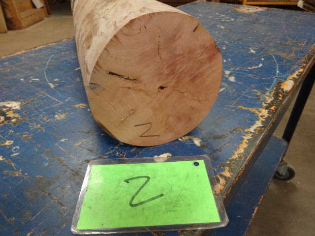 Pimento Burl Log #2 | Tropical Exotic Hardwoods