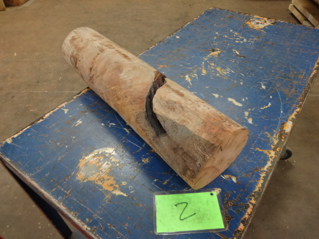 Pimento Burl Log #2 | Tropical Exotic Hardwoods
