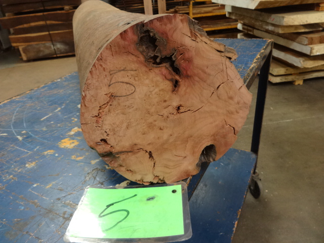 Pimento Burl Log #5 | Tropical Exotic Hardwoods