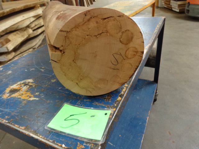 Pimento Burl Log #5 | Tropical Exotic Hardwoods