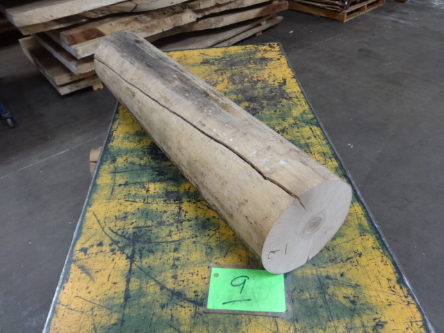 Birdseye Maple Log #9 | Tropical Exotic Hardwoods