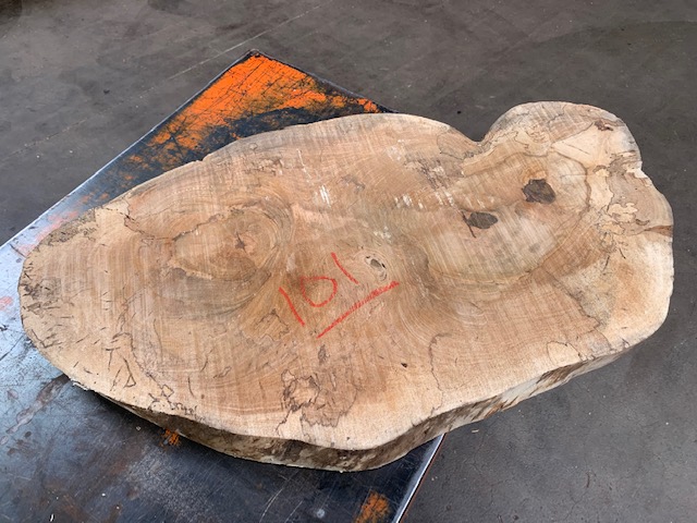 Spalted Mango Slab #101 Round | Tropical Exotic Hardwoods