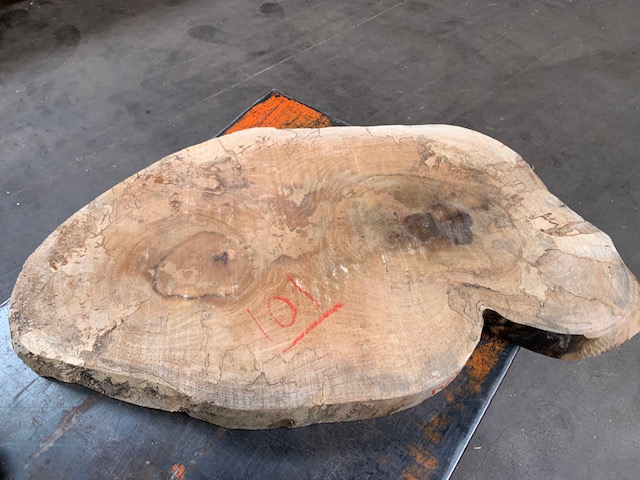 Spalted Mango Slab #101 Round | Tropical Exotic Hardwoods