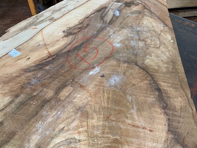 Spalted Mango Slab #15 One Live Edge | Tropical Exotic Hardwoods