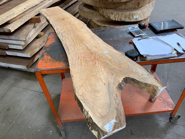 Spalted Mango Slab #28 Live Edge | Tropical Exotic Hardwoods