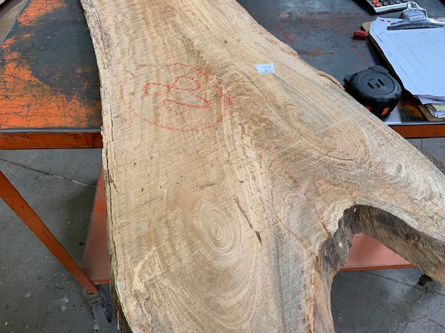 Spalted Mango Slab #28 Live Edge | Tropical Exotic Hardwoods