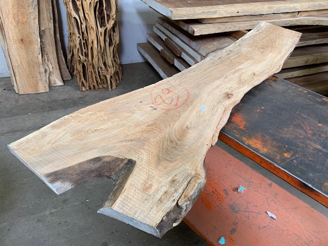 Spalted Mango Slab #29 Live Edge | Tropical Exotic Hardwoods