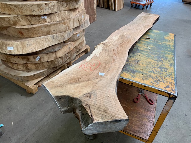 Spalted Mango Slab #32 Live Edge | Tropical Exotic Hardwoods