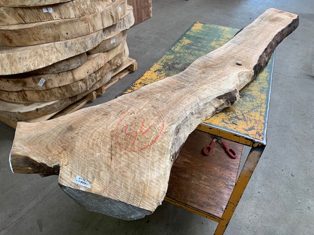 Spalted Mango Slab #32 Live Edge | Tropical Exotic Hardwoods