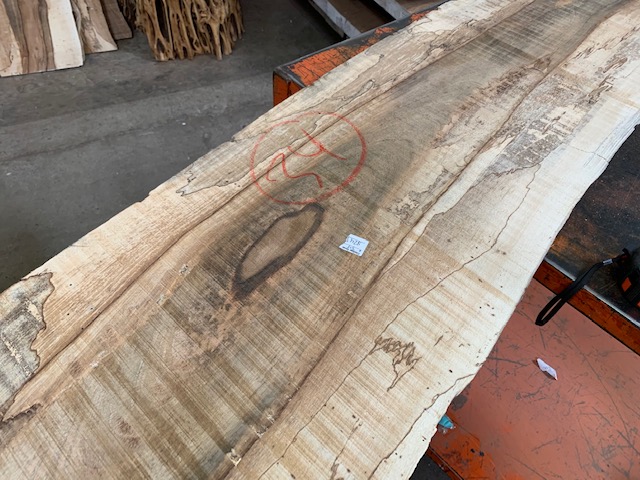 Spalted Mango Slab #34 Live Edge | Tropical Exotic Hardwoods
