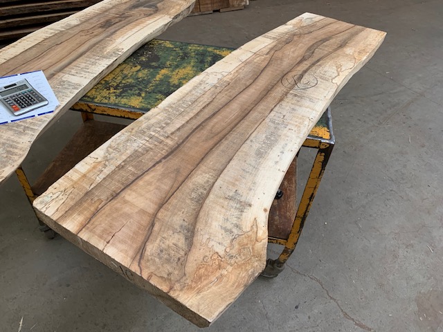Spalted Mango Slab #42 Live Edge | Tropical Exotic Hardwoods