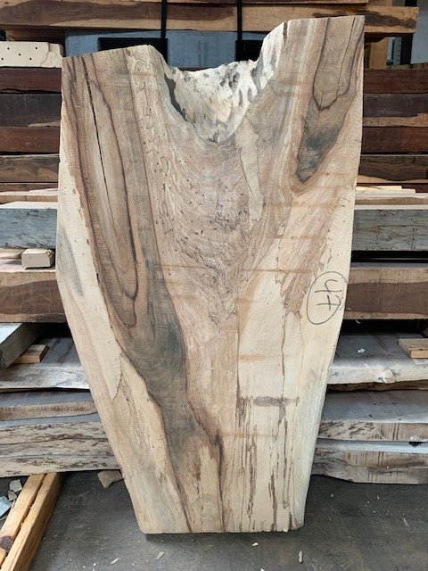 Spalted Mango Slab #47 Live Edge | Tropical Exotic Hardwoods