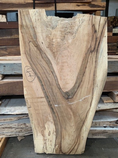 Spalted Mango Slab #47 Live Edge | Tropical Exotic Hardwoods