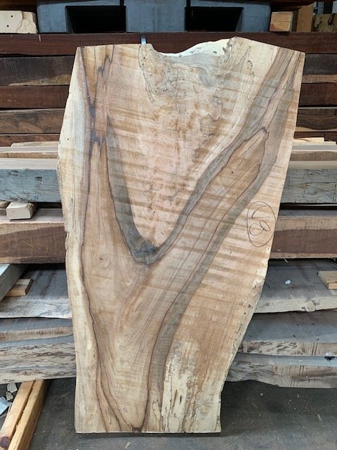 Spalted Mango Slab #48 Live Edge | Tropical Exotic Hardwoods