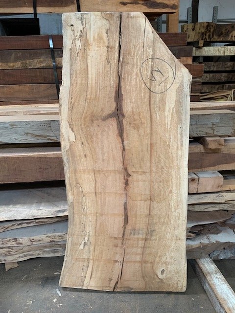 Spalted Mango Slab #51 Live Edge | Tropical Exotic Hardwoods