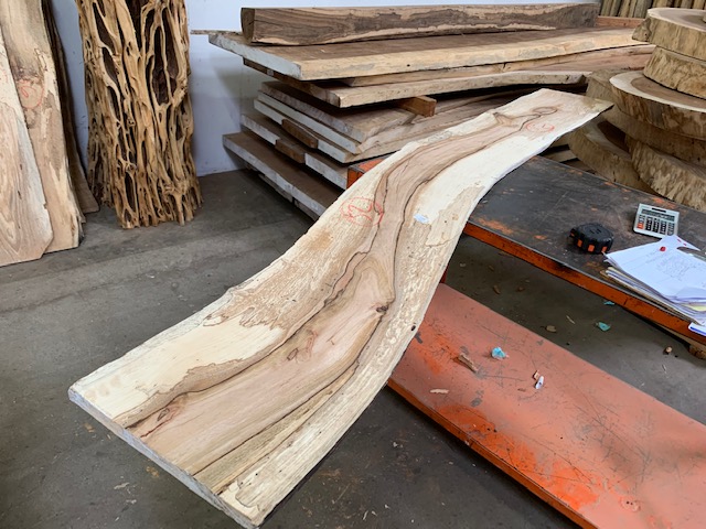 Spalted Mango Slab #52 Live Edge | Tropical Exotic Hardwoods