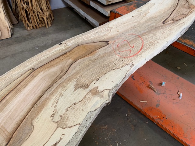 Spalted Mango Slab #52 Live Edge | Tropical Exotic Hardwoods