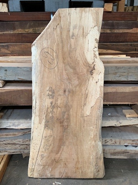 Spalted Mango Slab #53 Live Edge | Tropical Exotic Hardwoods
