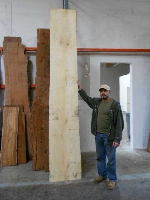 Curly Maple Slab #30 (French) | Tropical Exotic Hardwoods