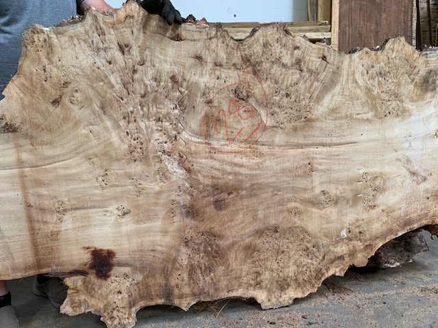 Mappa Burl Slab #28 | Tropical Exotic Hardwoods