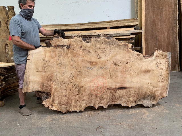 Mappa Burl Slab #28 | Tropical Exotic Hardwoods