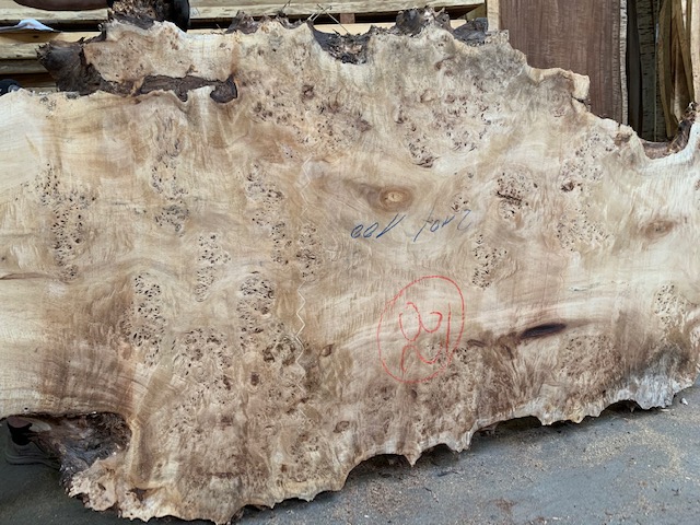 Mappa Burl Slab #28 | Tropical Exotic Hardwoods