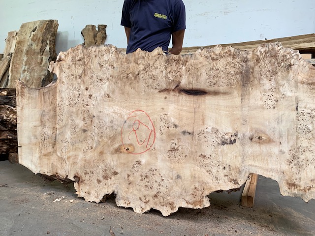 Mappa Burl Slab #29 | Tropical Exotic Hardwoods