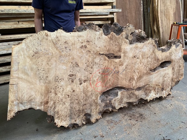 Mappa Burl Slab #29 | Tropical Exotic Hardwoods