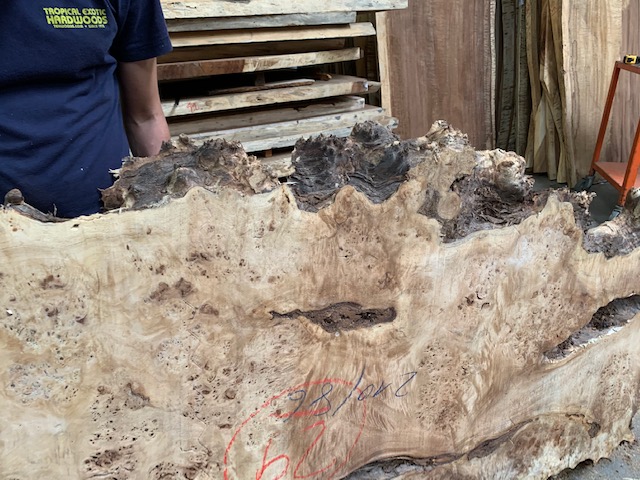 Mappa Burl Slab #29 | Tropical Exotic Hardwoods