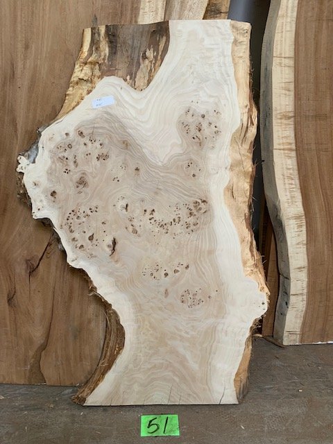 Mappa Burl Slab #51 | Tropical Exotic Hardwoods