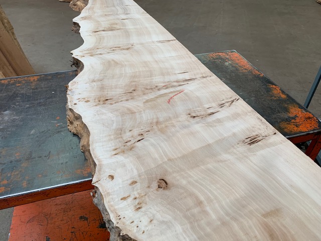 Mappa Burl Slab #6A (SANDED) | Tropical Exotic Hardwoods