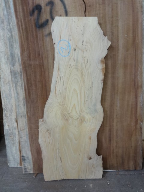 Monterrey Pine Slab #2 | Tropical Exotic Hardwoods