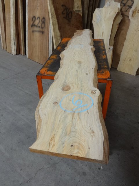 Monterrey Pine Slab #6 | Tropical Exotic Hardwoods