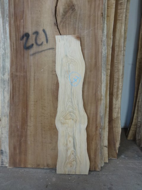 Monterrey Pine Slab #7 | Tropical Exotic Hardwoods