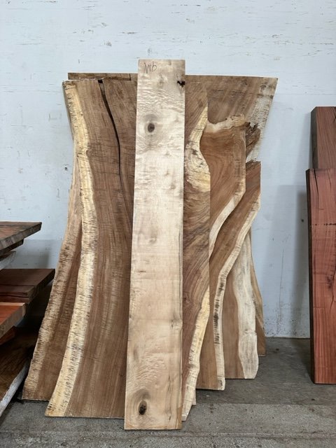 Oregon Myrtle (Bay Laurel) #9M | Tropical Exotic Hardwoods