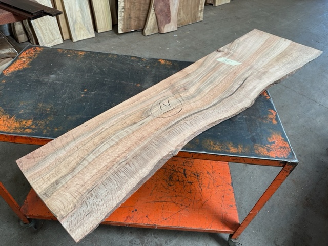 Live Oak Slab #14 | Tropical Exotic Hardwoods