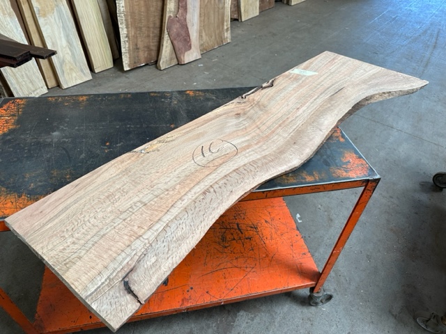 Live Oak Slab #16 | Tropical Exotic Hardwoods
