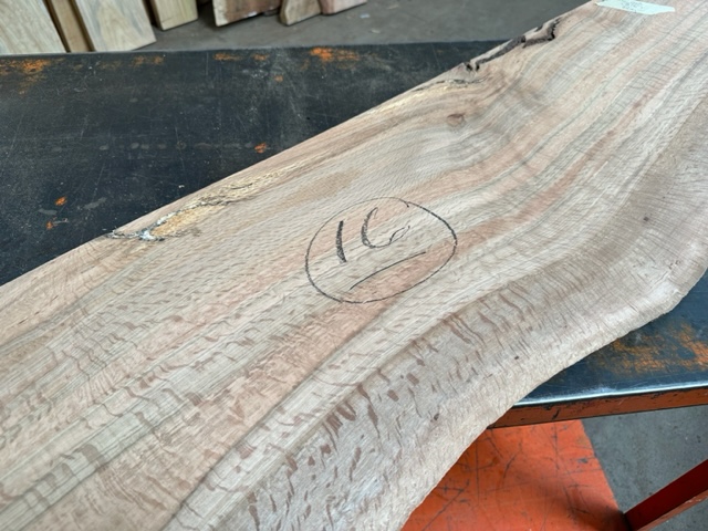 Live Oak Slab #16 | Tropical Exotic Hardwoods