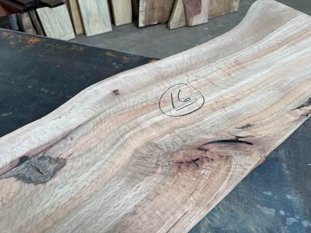 Live Oak Slab #16 | Tropical Exotic Hardwoods