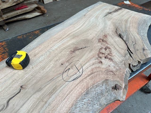 Live Oak Slab #21 | Tropical Exotic Hardwoods