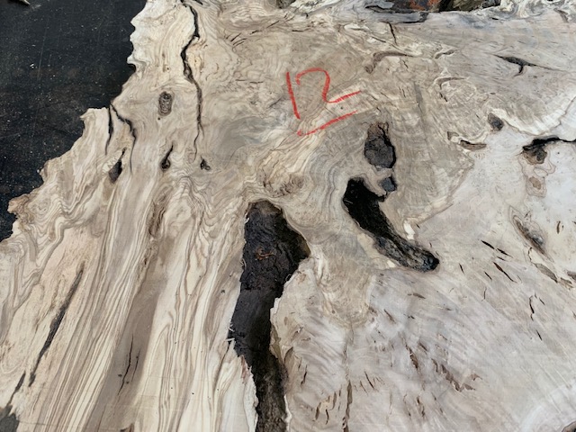 Olive Burl/Root Slab #12 (Domestic) | Tropical Exotic Hardwoods
