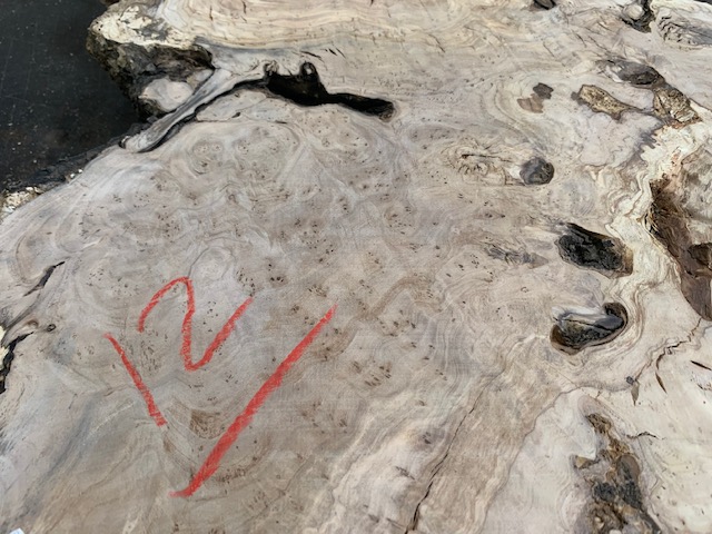 Olive Burl/Root Slab #12 (Domestic) | Tropical Exotic Hardwoods